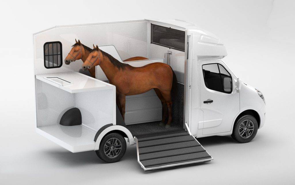 Paragan Equistar 3 – Basic